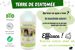 Terre de Diatomée : un très bon antiparasitaire naturel pour vos chats ...